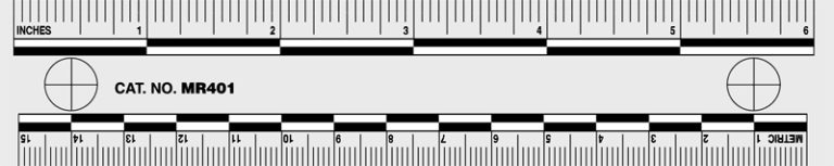 Magnetic Evidence Scale, Gray (MR401) – Forensi-Tech Limited