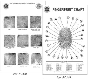 Fingerprint Comparison Wall Chart (FC349) – Forensi-Tech Limited